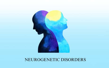 Dr. Sriram Neuro | Best Neurology Hospital in Hyderabad | Services